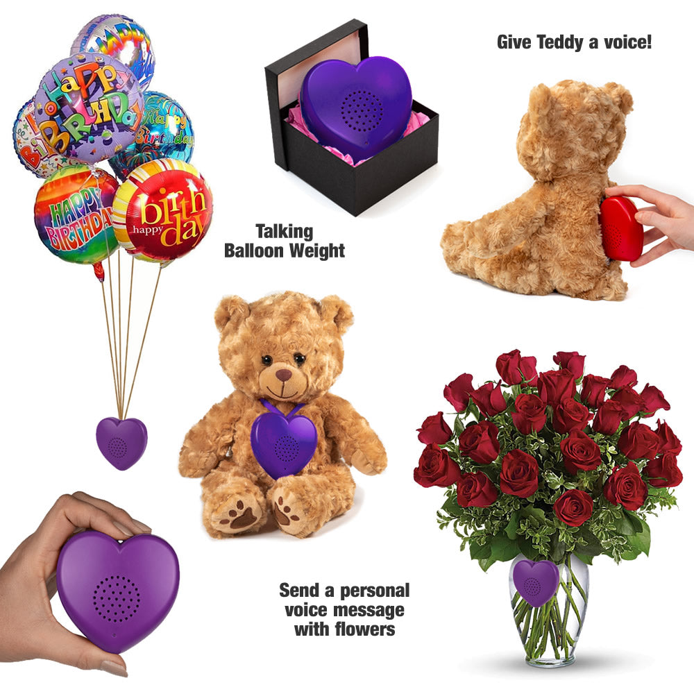 Talking Hearts Voice Recordable MP3 Player - Add sound to your gifts ...