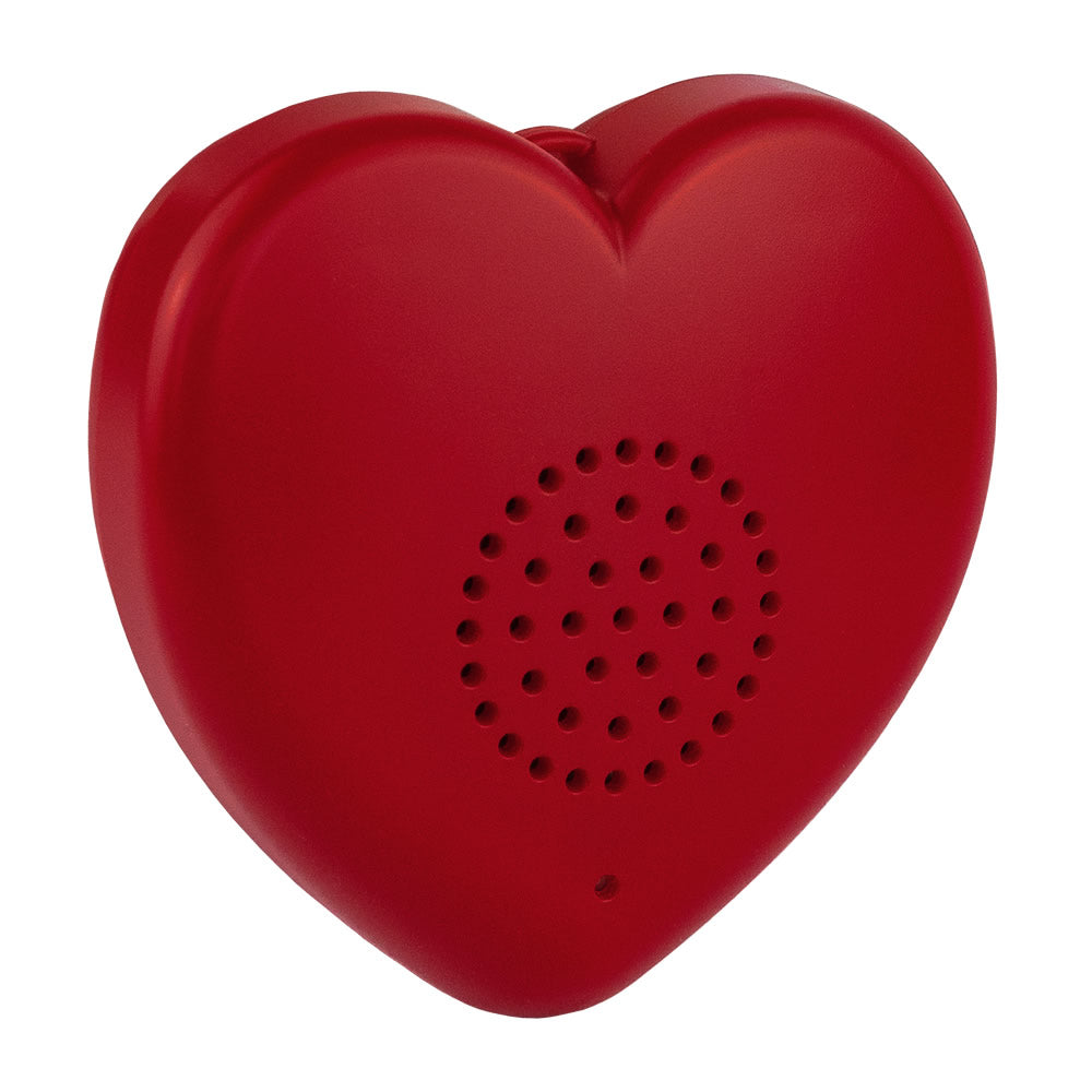 Talking Hearts Voice Recorder - Add sound to your gifts and keepsakes ...