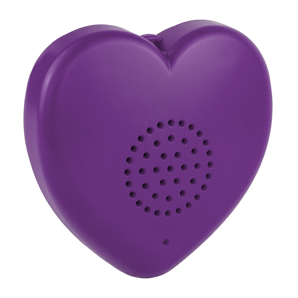 Talking Hearts Voice Recordable MP3 Player - Add sound to your gifts ...